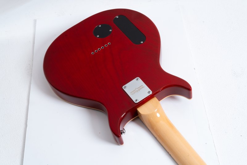 Erikson Music - Raven Bolt-On Electric Guitar, Tobacco Sunburst - Washburn